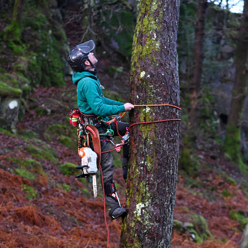 DMM | Climb Now Work Later – DMM Europe